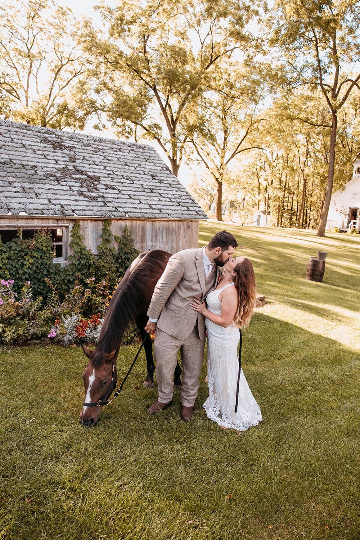 Horses - OAK HILL FARM